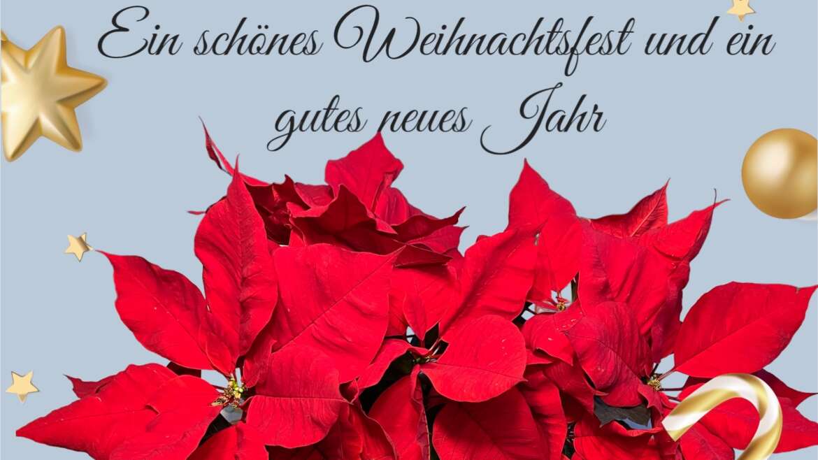 Ein schönes Weihnachtsfest - dreams4knit